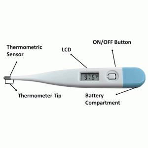 Best Digital Clinical Thermometer at Low Price - Techno Health
